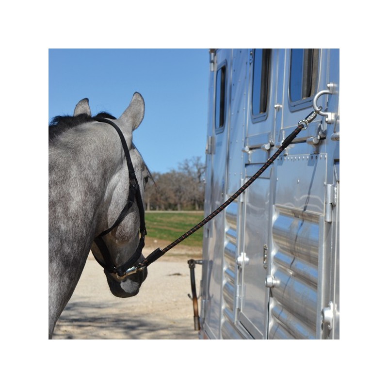 Longe élastique double attache avec mousqueton anti-panique - Cashel ...