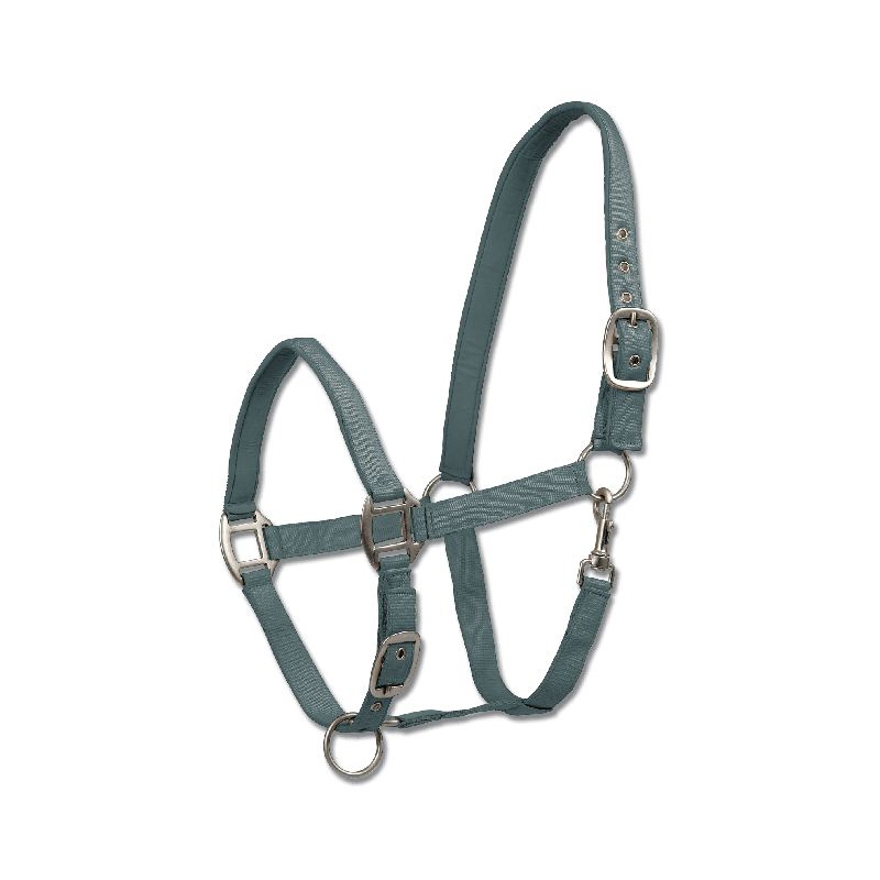 Licols cheval - Equestra