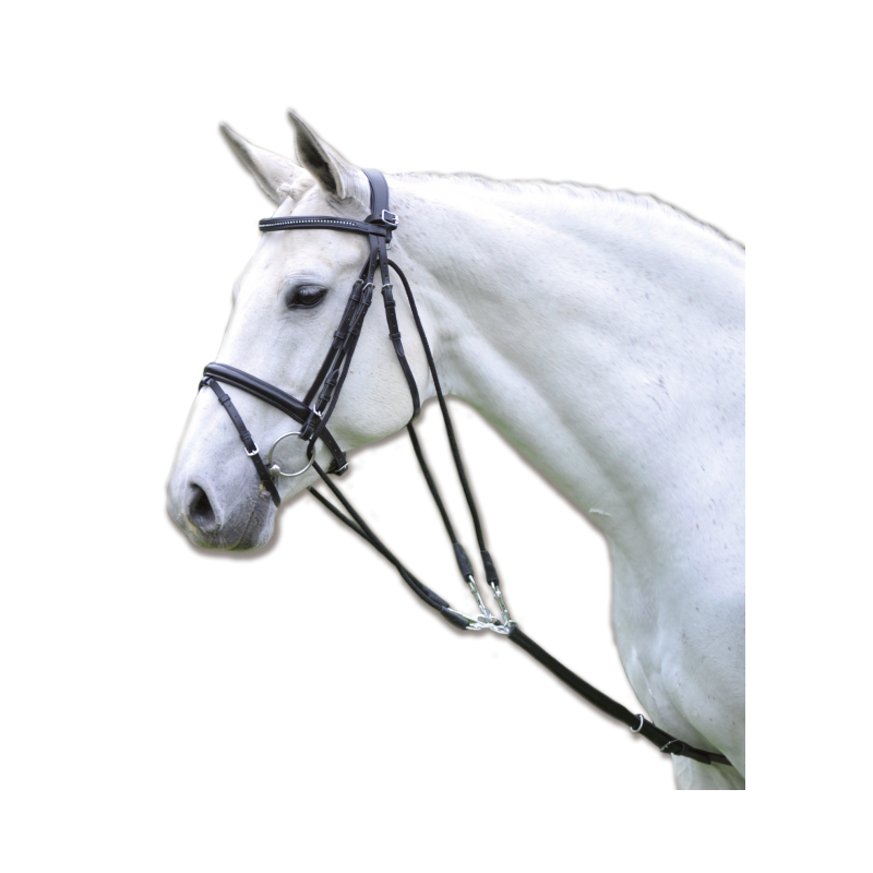 Gogue cheval - Waldhausen - WALDHAUSEN - Enrênements - Equestra