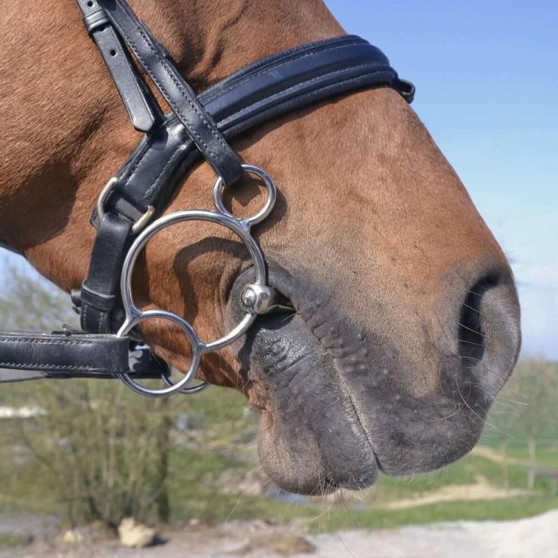 Mors cheval 3 anneaux Kk Ultra Universel en sensogan - Sprenger ... Mors cheval 3 anneaux Kk Ultra Universel en sensogan - Sprenger ...