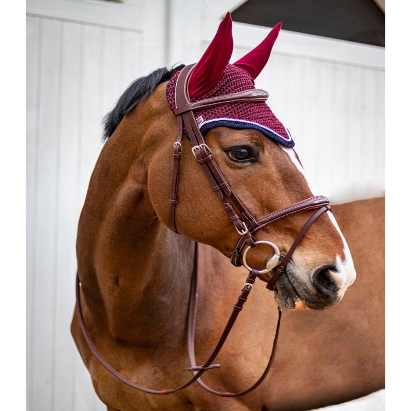 Bridons et brides Equestra