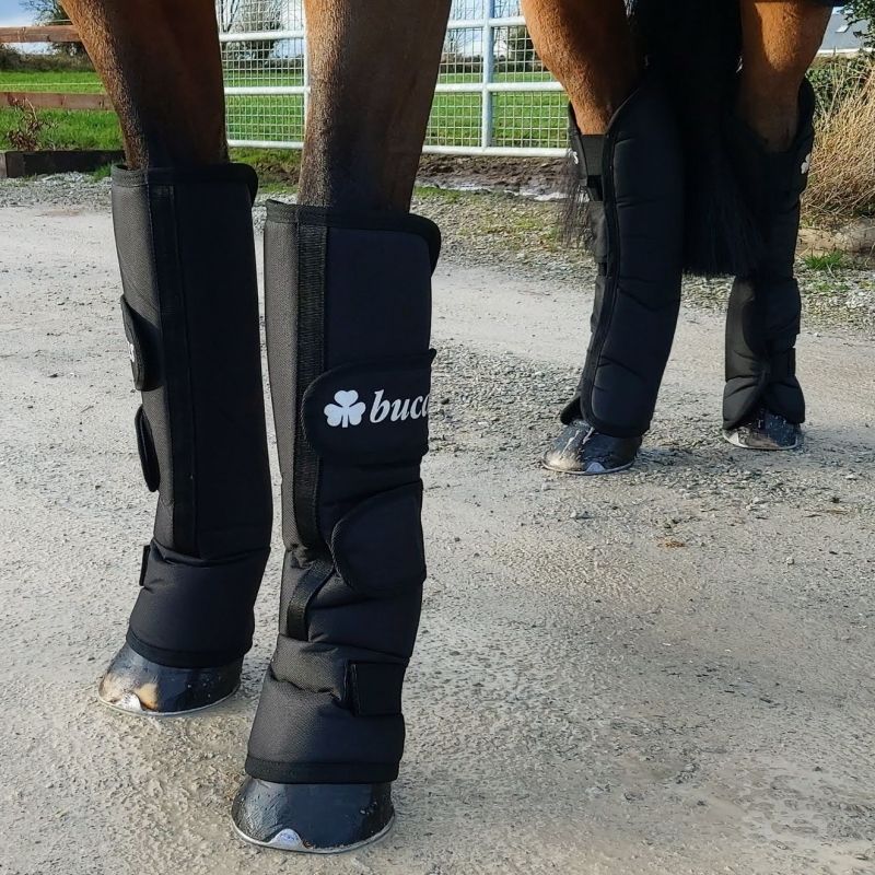 Protections de transport cheval 2020 (x4) - Bucas - BUCAS - Protections ...