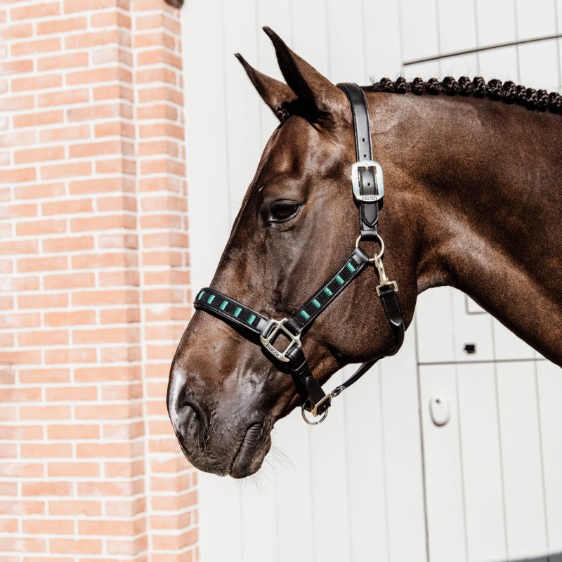 Licols cheval - Equestra