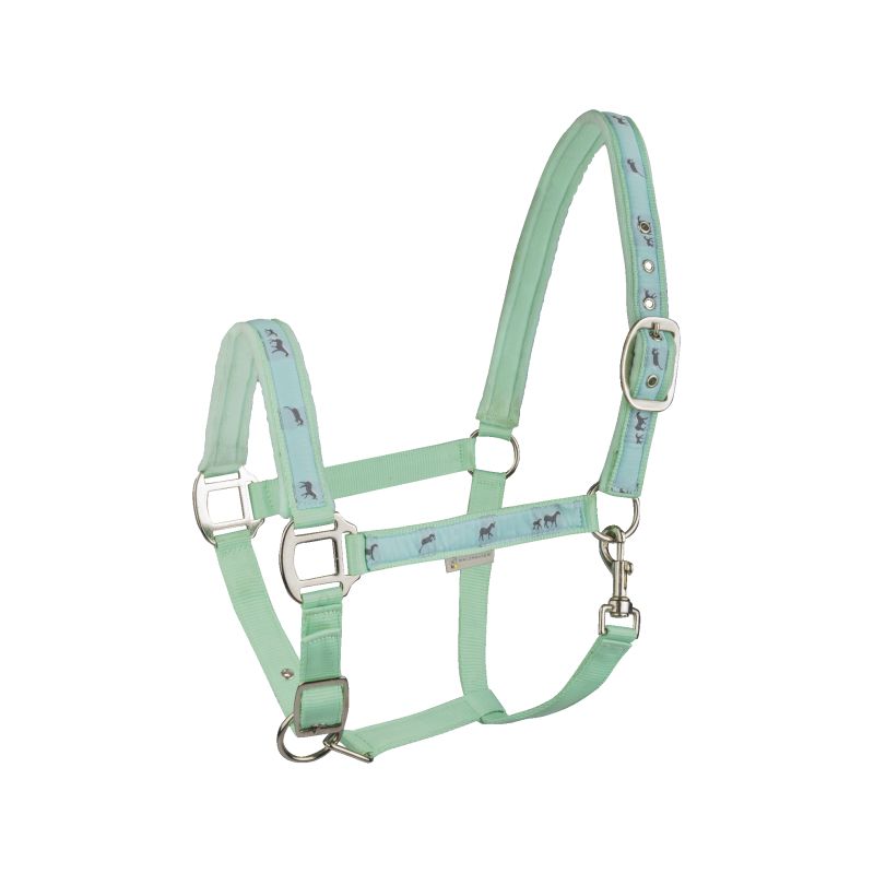 Licols cheval - Equestra