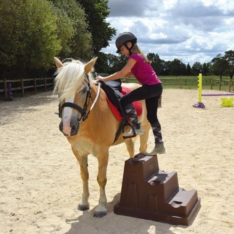 Cavaletti montoir 3 marches Easy-step - La Gée - LA GEE - Matériel ...