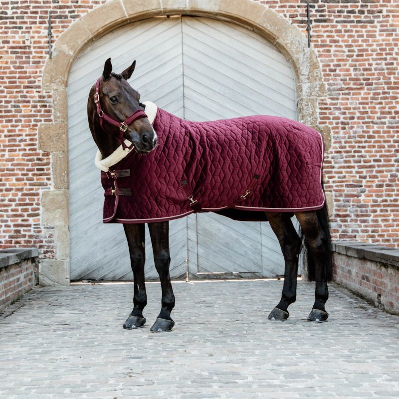 Couverture de présentation cheval Velvet 160 gr - Kentucky Horsewear ...