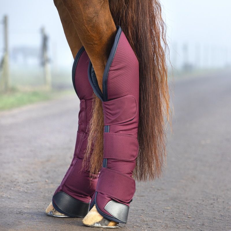 Protections de transport Rambo Horseware - Equestra
