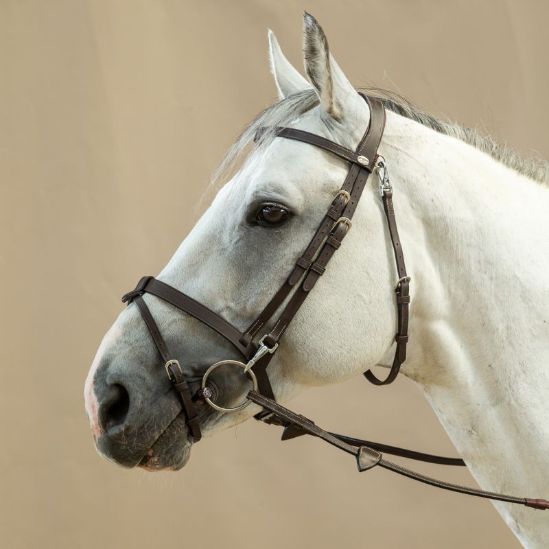 Bridon cheval plat avec mousquetons Working Collection - Dy'on - DYON ...