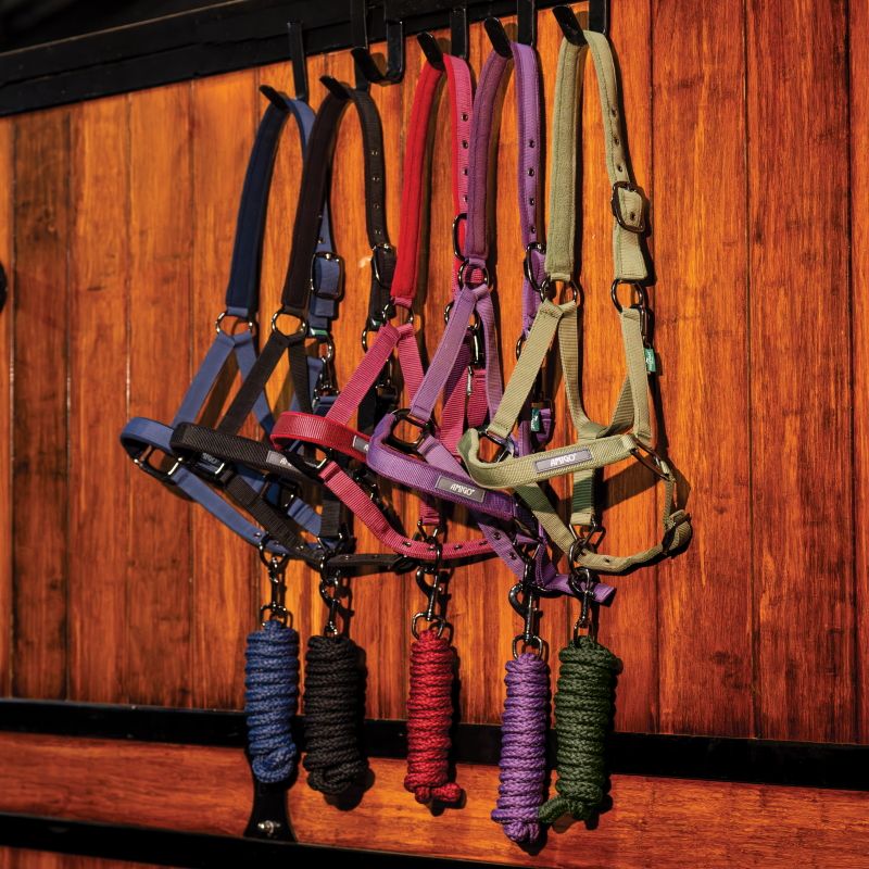 Licols cheval - Equestra